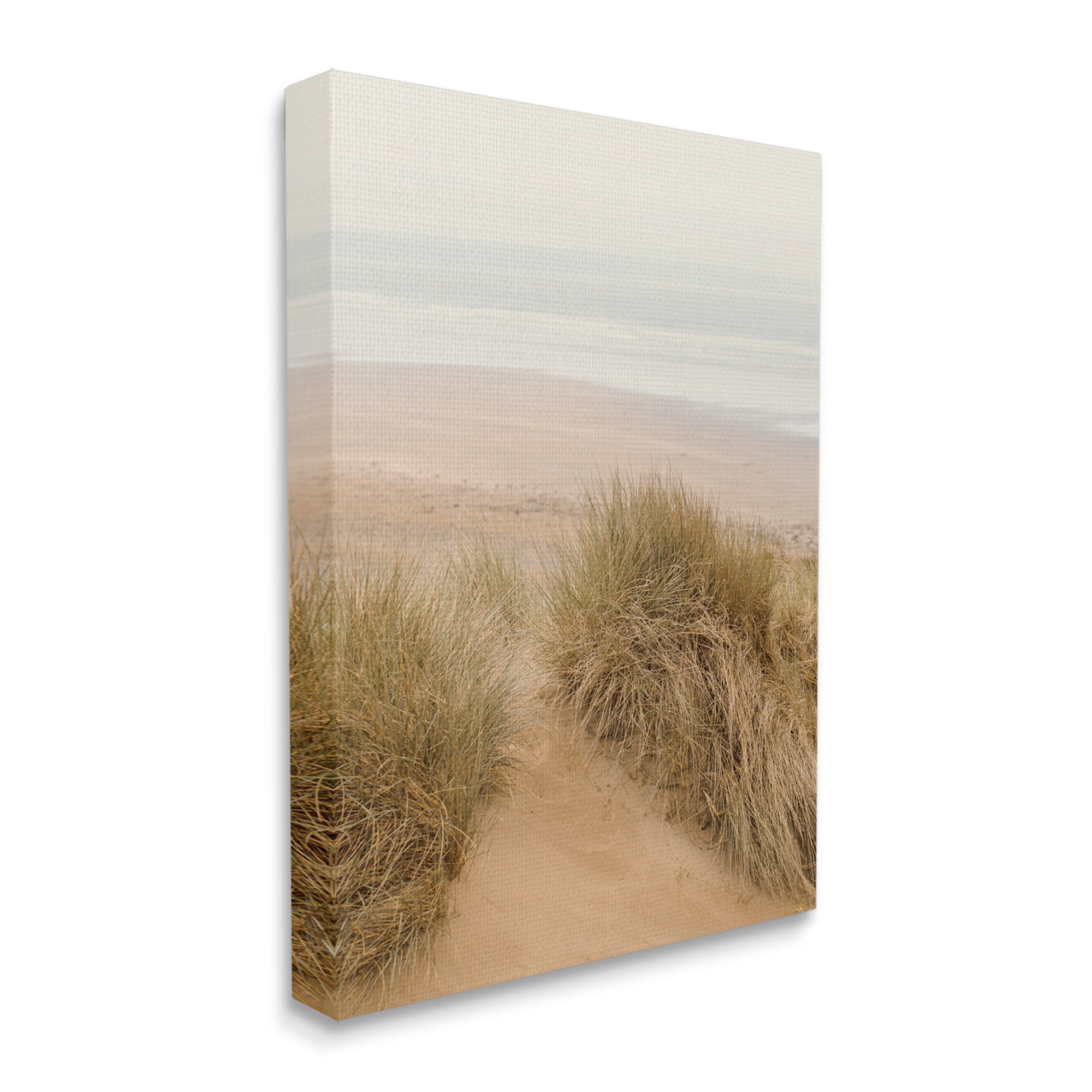 Stupell Industries Sun Bleached Beach Coast Tall Grass Sand Dunes by Ian Winstanley - Photograph ...